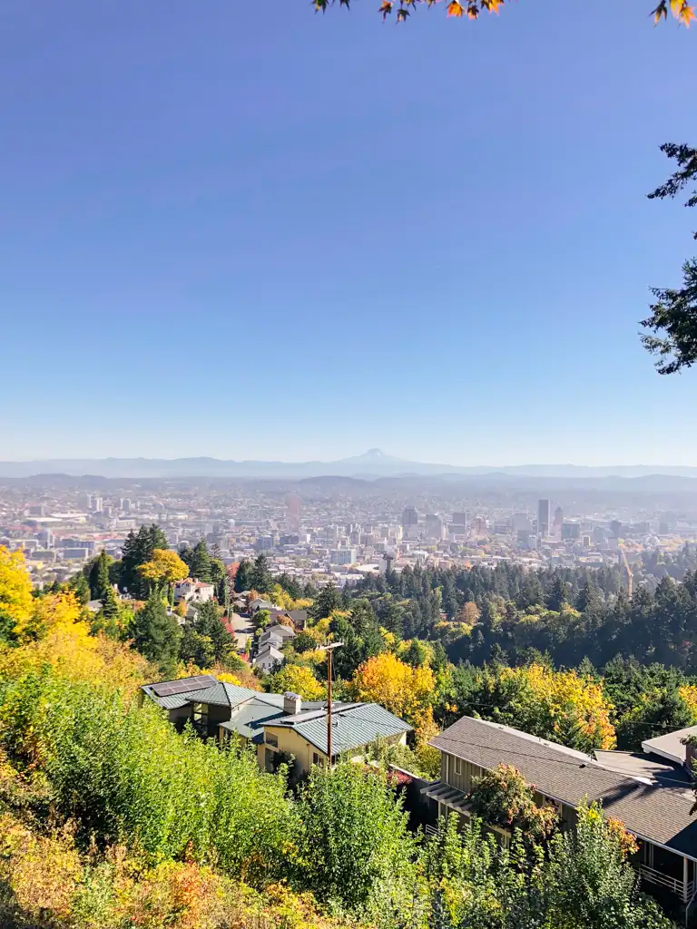 Portland’s Forest Park: A Local’s Guide to Trails, Views & Planning ...